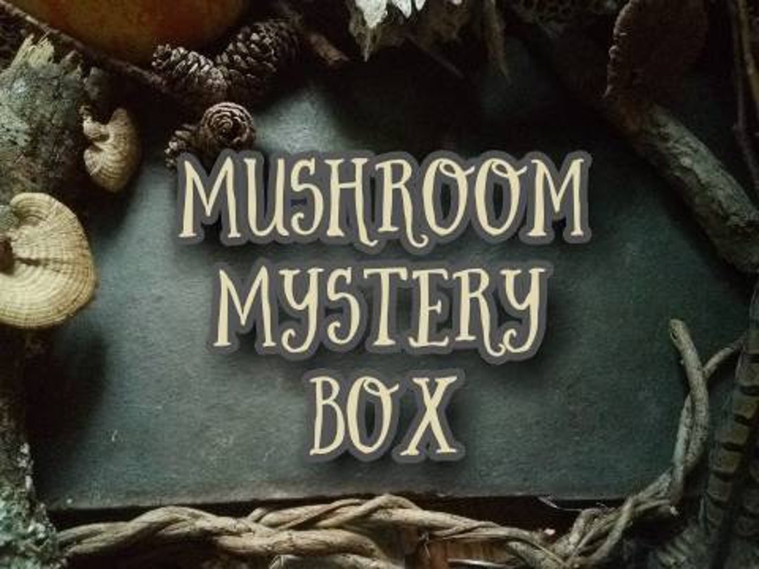 Mystery Mushroom Assortment 50 Piece Dried Variety Shelf Polypore