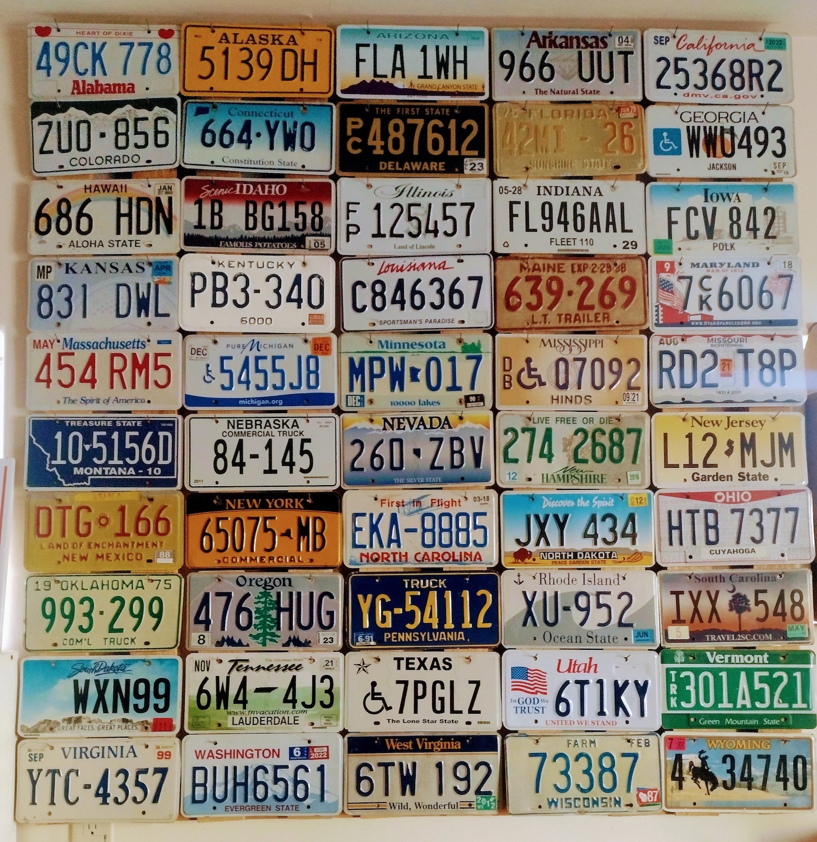 LICENSE PLATE Set of All 50 U S A States Fast Shipping USPS Priority ...