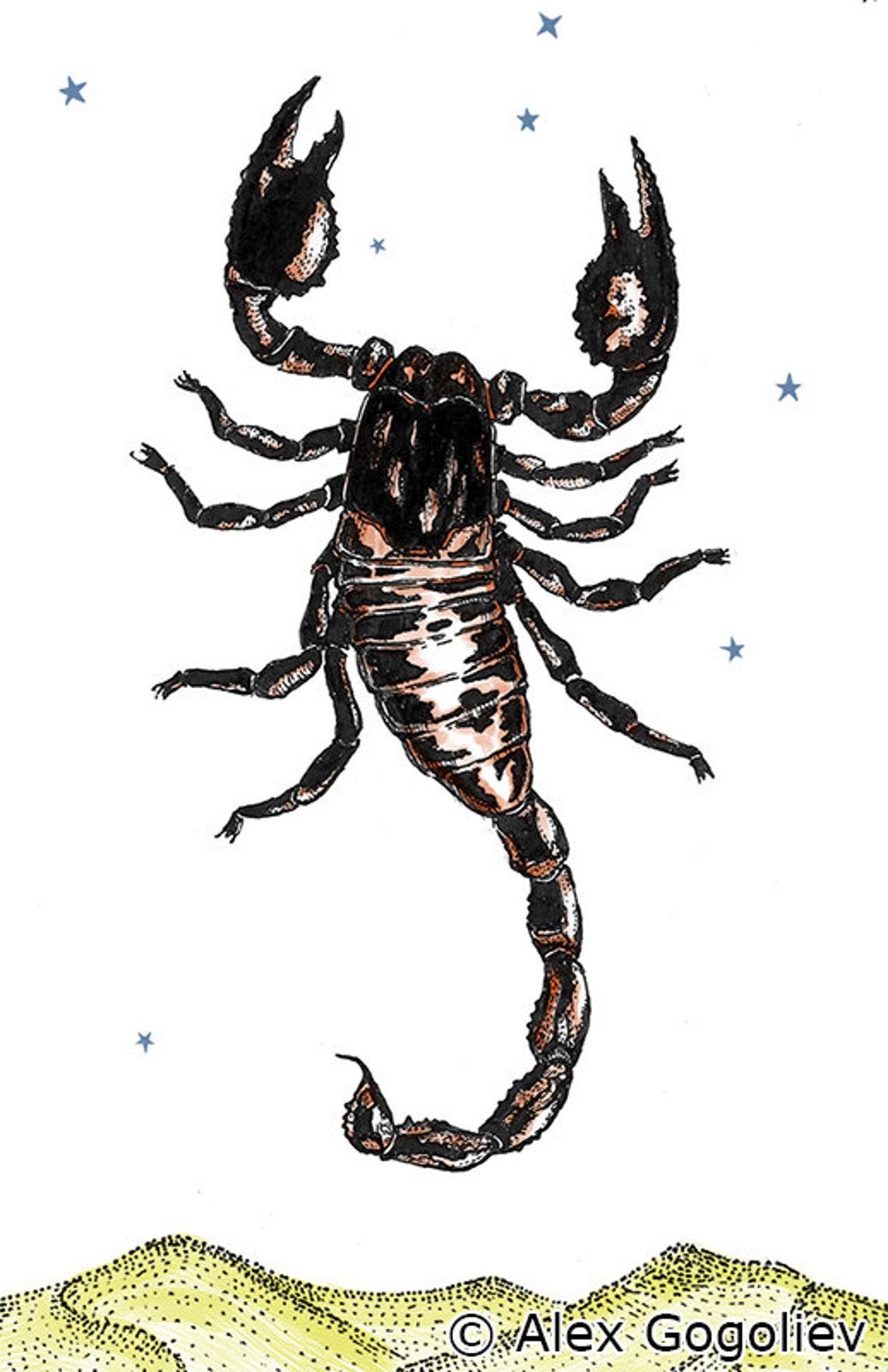 Scorpion Zodiac Sign Wall Art Print - Etsy