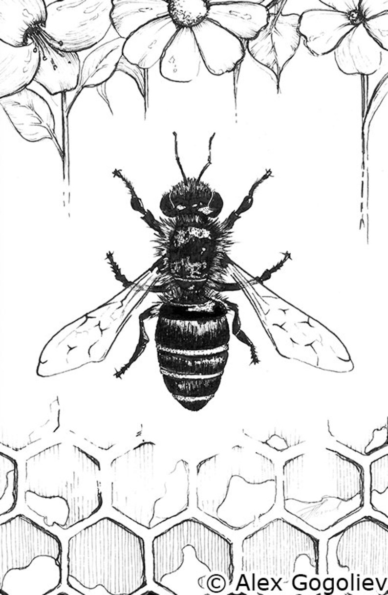 Rustic Honey Bee Wall Art Print, Honey Bee Art, Honey Bee Print, Honey ... Rustic Honey Bee Wall Art Print, Honey Bee Art, Honey Bee Print, Honey ...