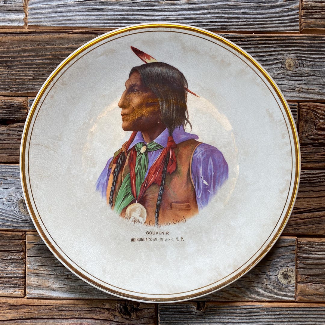 RARE Semi Porcelain Chief Wolf Robe Souvenir Plate Adirondack Mountains ...