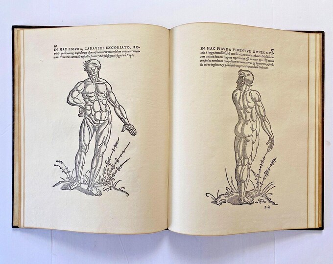 Vintage Illustrated Latin Anatomy of the Whole Human Body Book ...