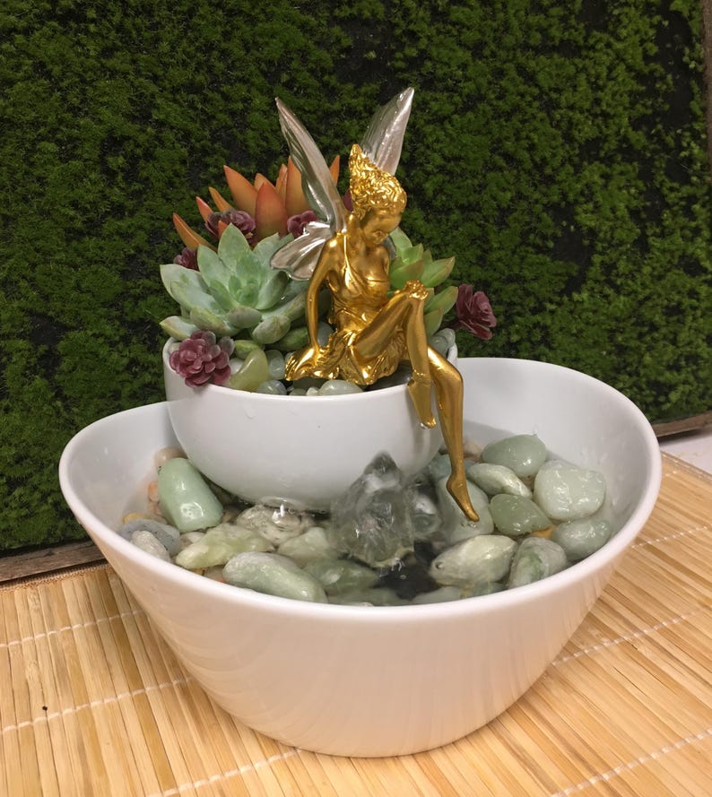 Tranquility Tabletop Water Fountain Garden: LIVE Succulents, Jade and ...