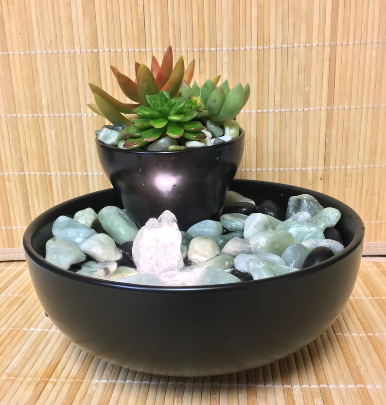 Tranquility Tabletop Water Fountain Garden, Black, LIVE Succulents, Zen ...