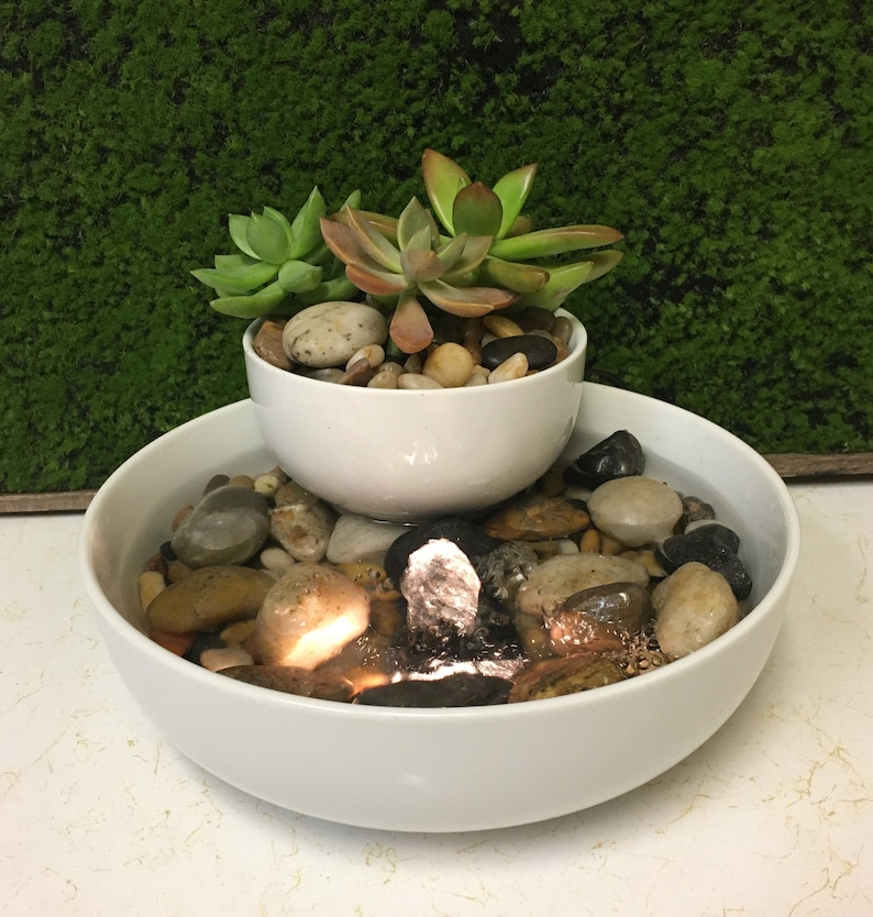 Tranquility Tabletop Water Fountain Garden, Natural With LIVE ...