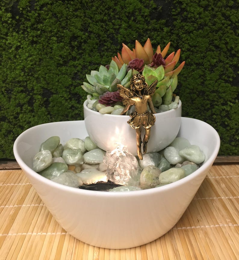 Tranquility Tabletop Water Fountain Garden: Wavy, Jade, LIVE Succulents ...