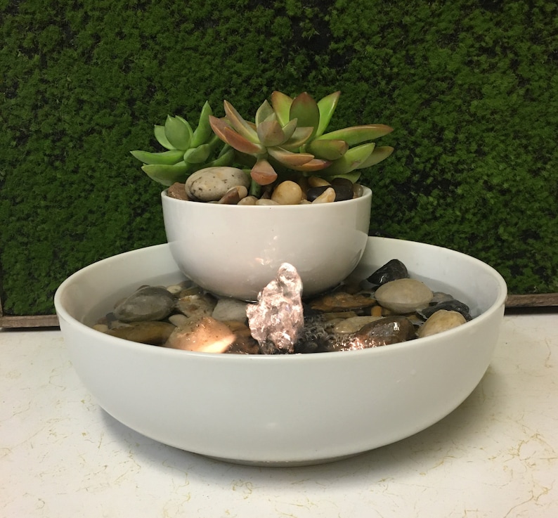 Tranquility Tabletop Water Fountain Garden, Natural With LIVE ...