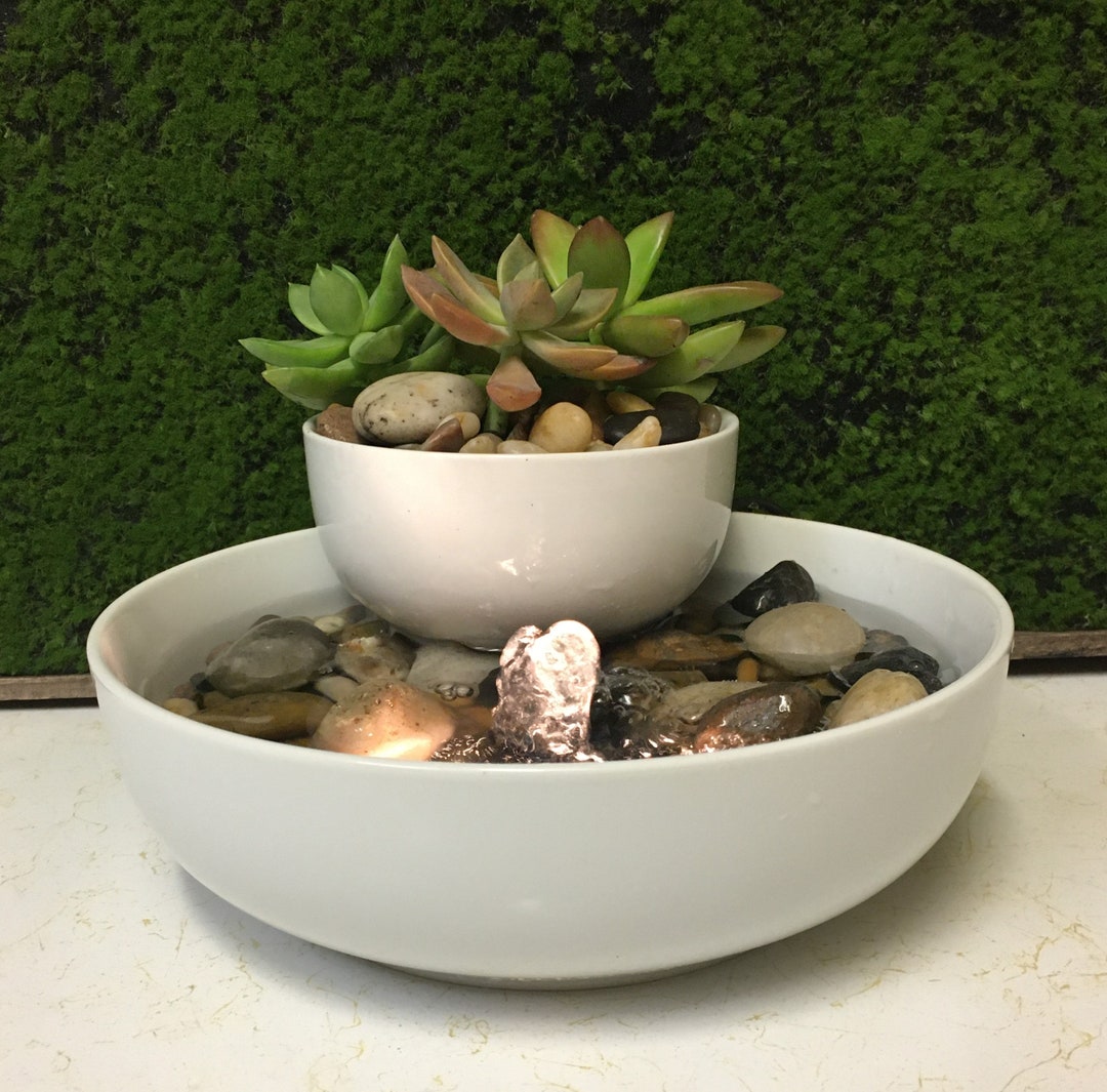 Tranquility Tabletop Water Fountain Garden, Natural With LIVE ...
