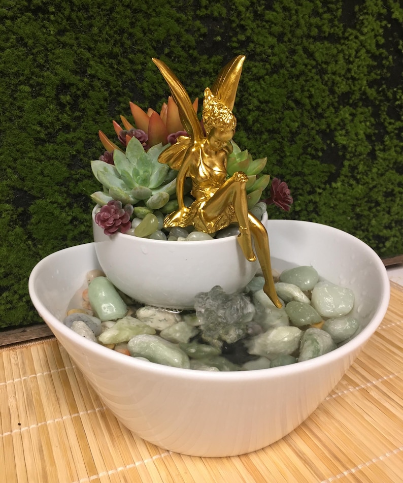 Tranquility Tabletop Water Fountain Garden: LIVE Succulents, Jade and ...