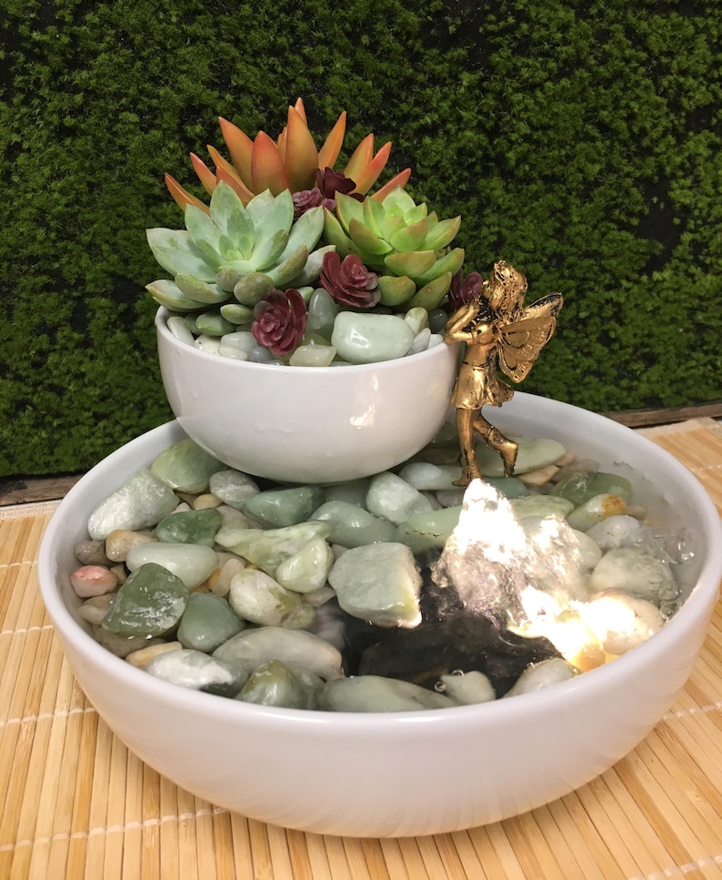 Tranquility Tabletop Water Fountain Garden LIVE Succulents & Tiny Angel ...