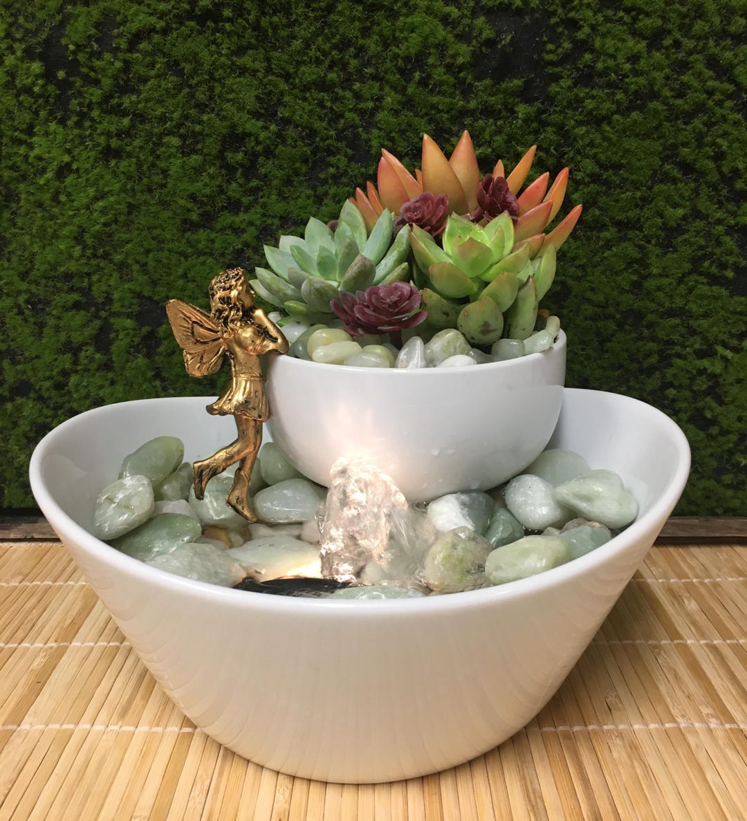 Tranquility Tabletop Water Fountain Garden: Wavy, Jade, LIVE Succulents ...