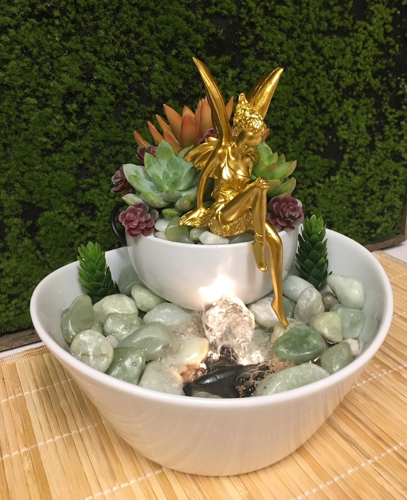 Tranquility Tabletop Water Fountain Garden: LIVE Succulents, Jade and ...