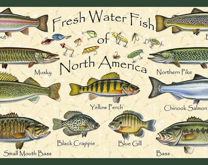 Fish Fabric by Half Yard, Men Fabric, Printed Quilting Cotton, Fishing ...