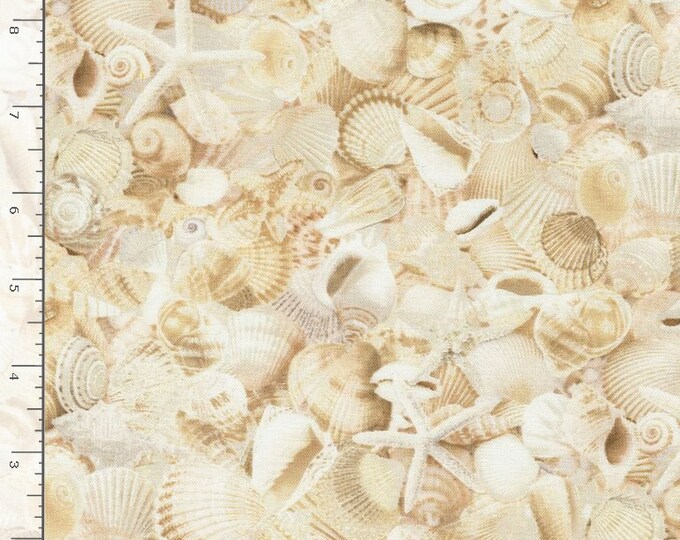 Seashell Fabric Colourful Seashells by Elena O'neill Illustration ...
