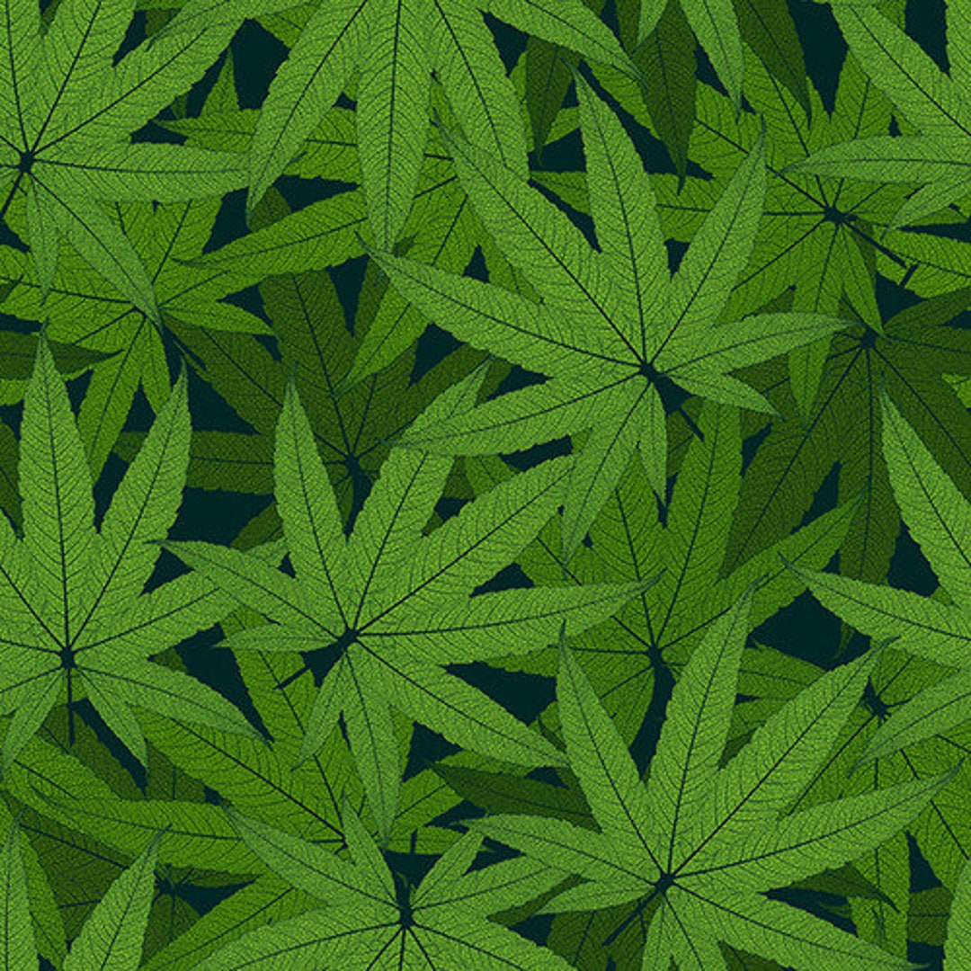 Cannabis Fabric by Half Yard, Pot Leaf Fabric, Printed Quilting Cotton ...