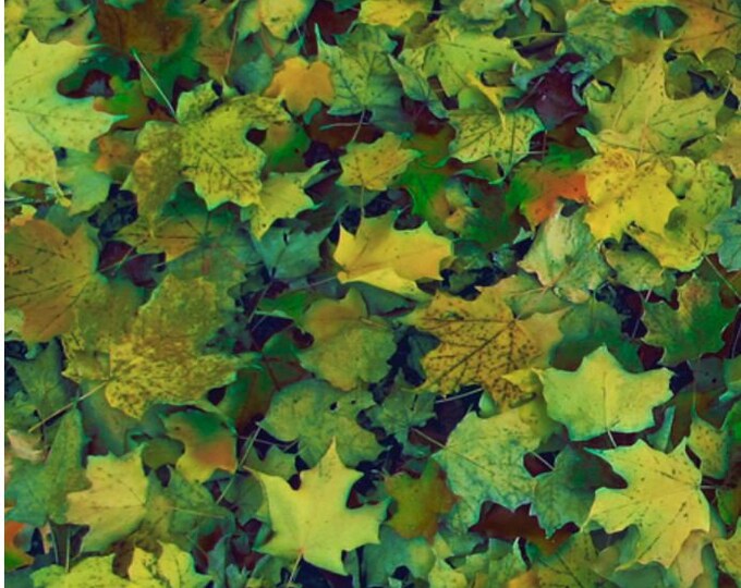 Plant Fabric by Half Yard, Fall Leaves Cotton, Leaf Quilting Cotton ...
