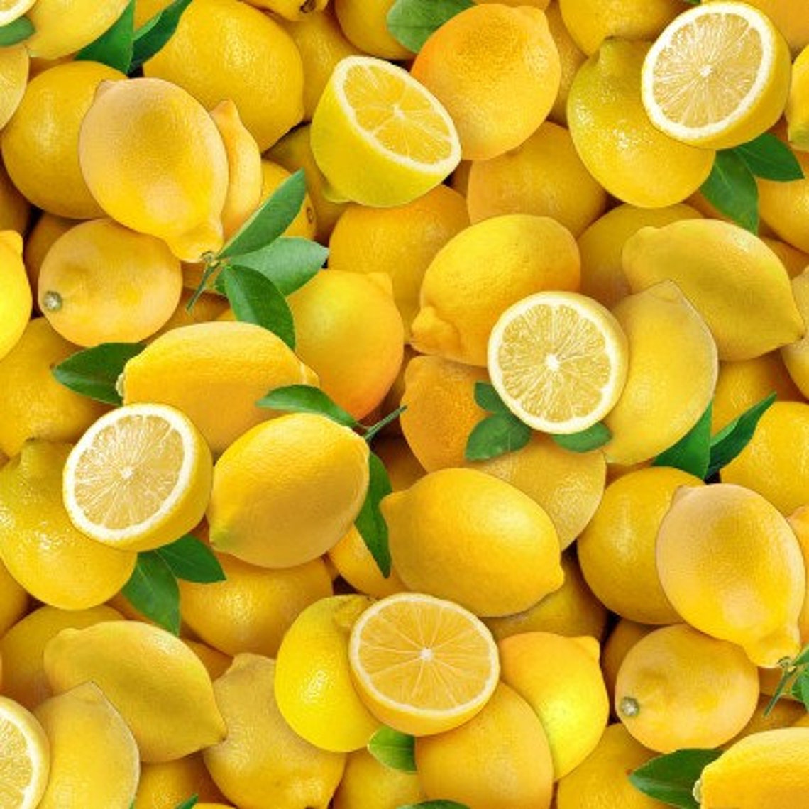 Lemon Fabric by Half Yard Lemon Print Fabric Lemons Quilting - Etsy