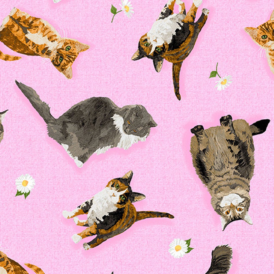 Cat Fabric by Half Yard, Funny Cat Printed Quilting Cotton, Cat ...