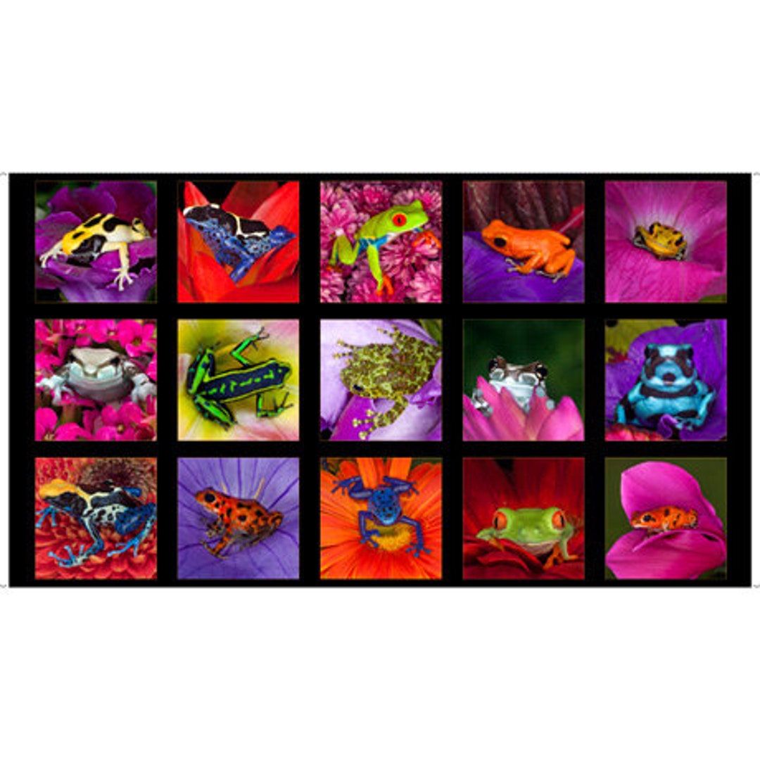 Frog Quilting Panel, Bright Panel, Printed Quilting Cotton, Frog ...