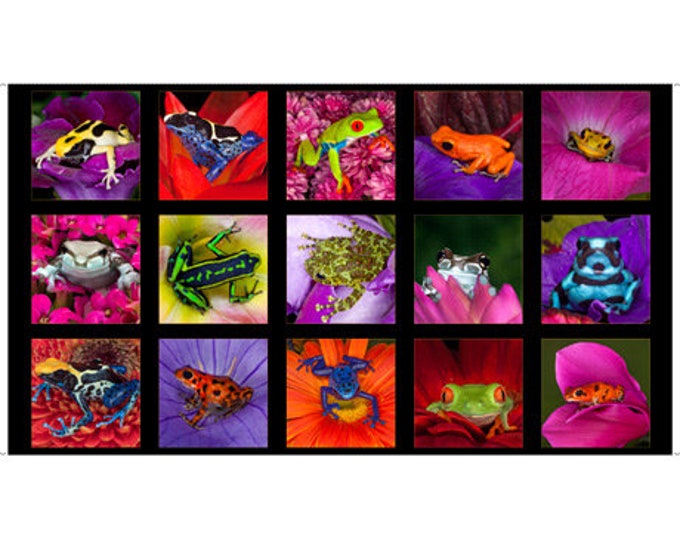 Frog Quilting Panel, Bright Panel, Printed Quilting Cotton, Frog ...