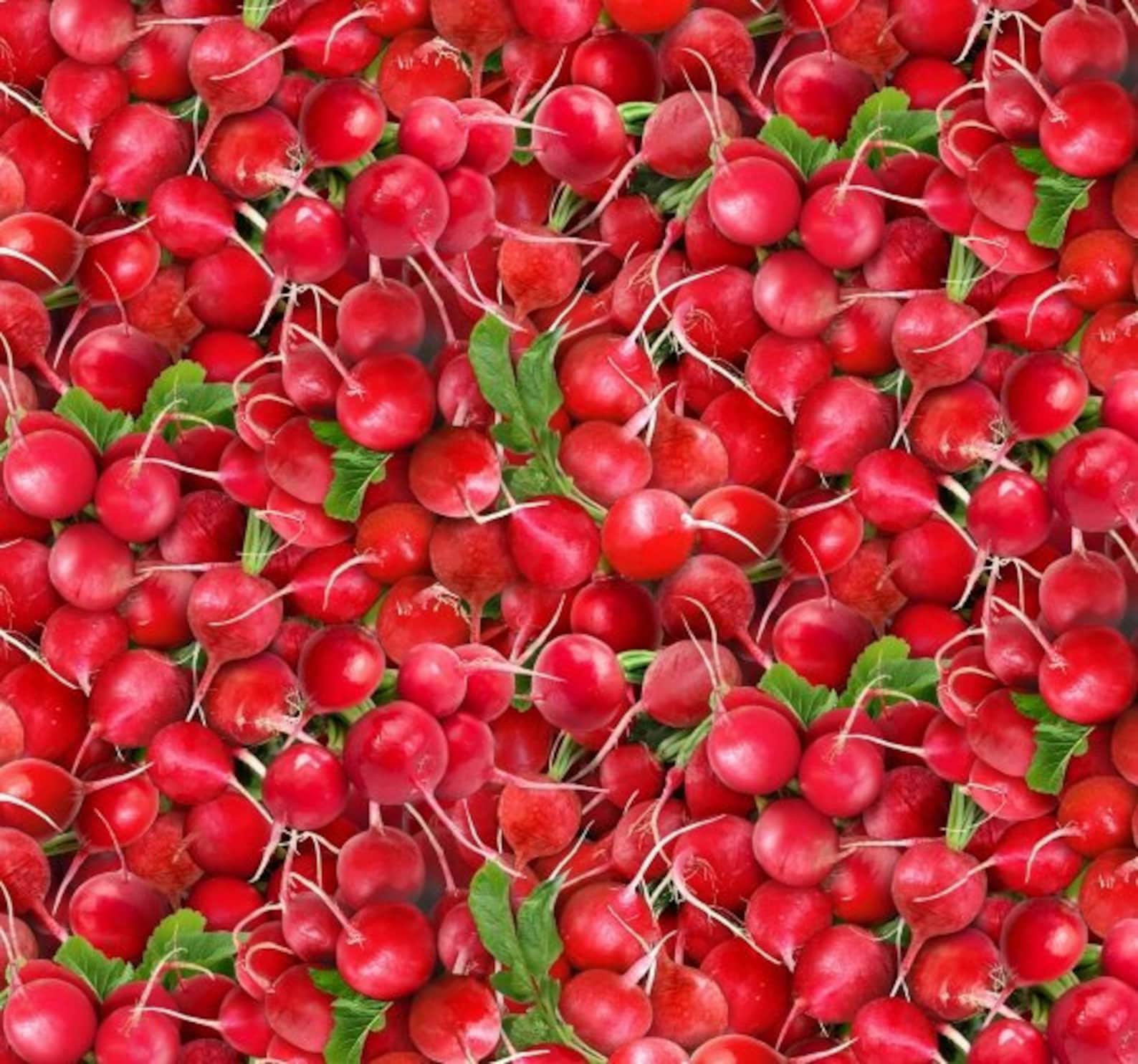 Radish Fabric by Half Yard, Radish Print Fabric, Radish Quilting Cotton ...