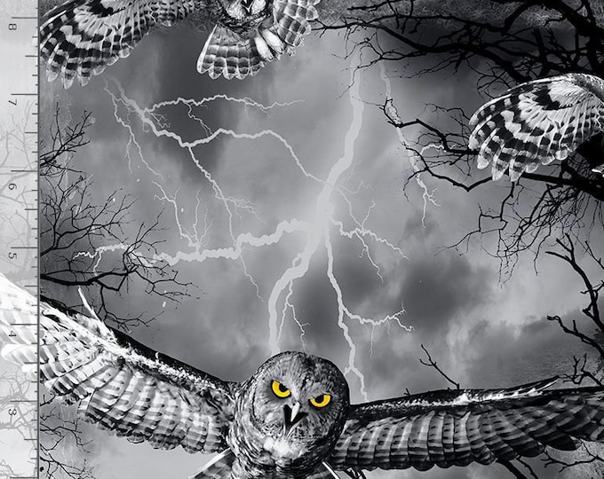 Spooky Owl Fabric Scroll Owls by Johannaparkerdesign Owl Halloween ...