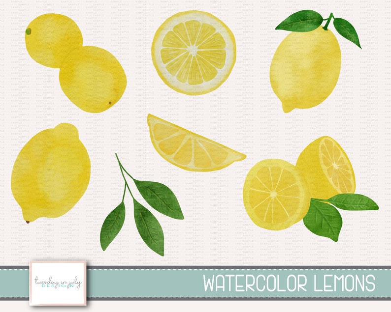 Watercolor Lemon Clipart Set Watercolor Lemons Clip Art | Etsy