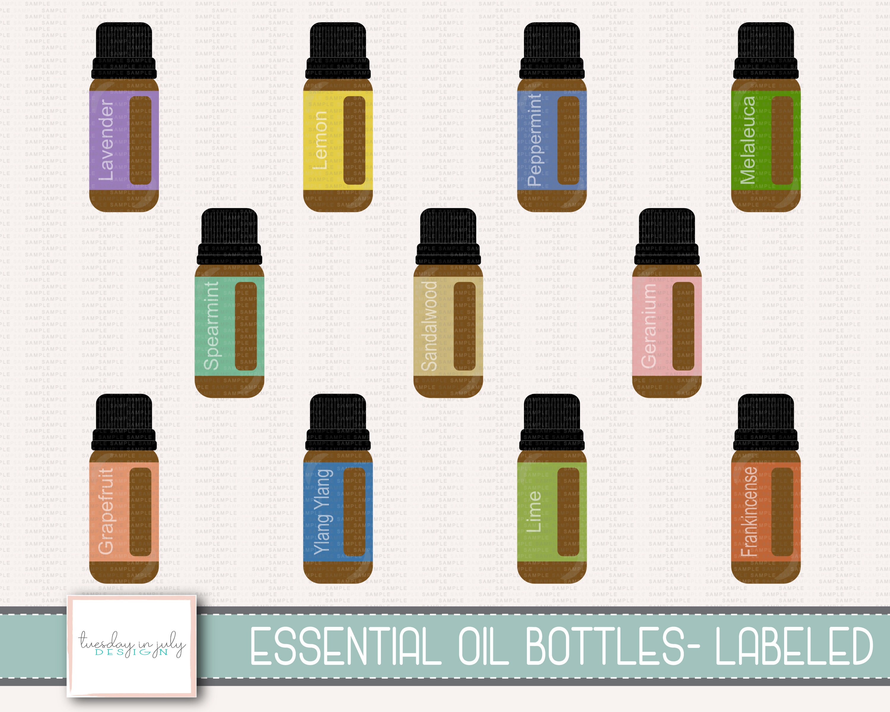 Lavender Essential Oils Clip Art