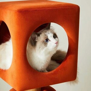Super Wear-resistant Anti Cat Scratch Upholstery Fabric for Chair Couch ...