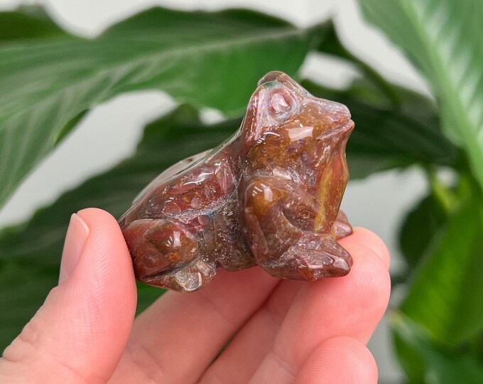 Sea Jasper Frog exact One Pictured - Etsy