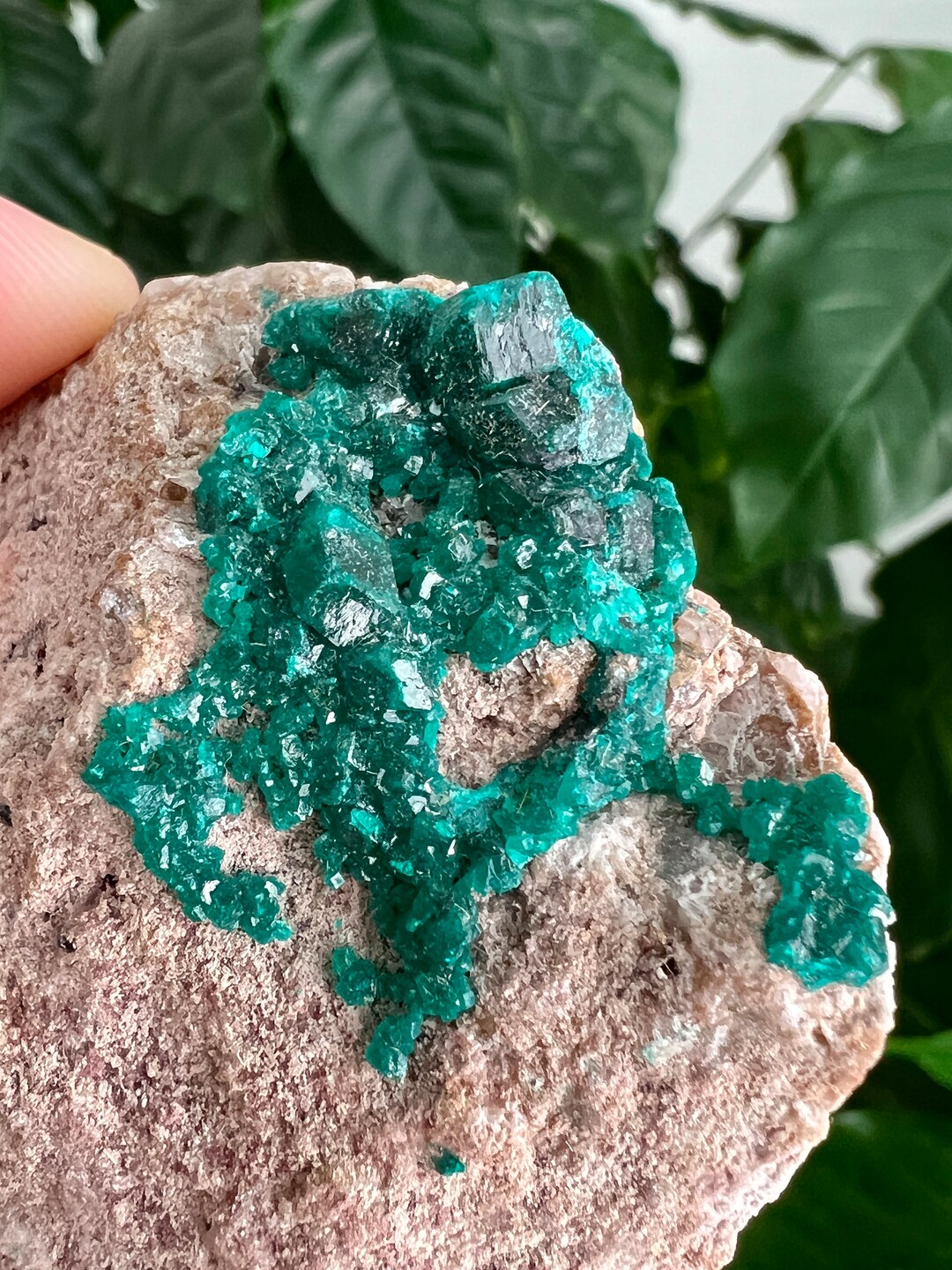 Raw Dioptase (exact One Pictured) - Etsy