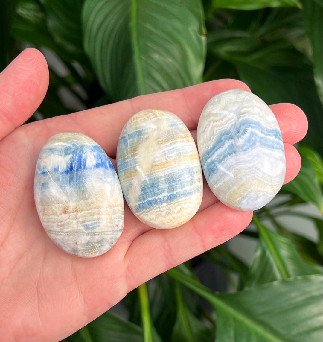 Mini Blue Scheelite Palm (you Choose Which One) - Etsy