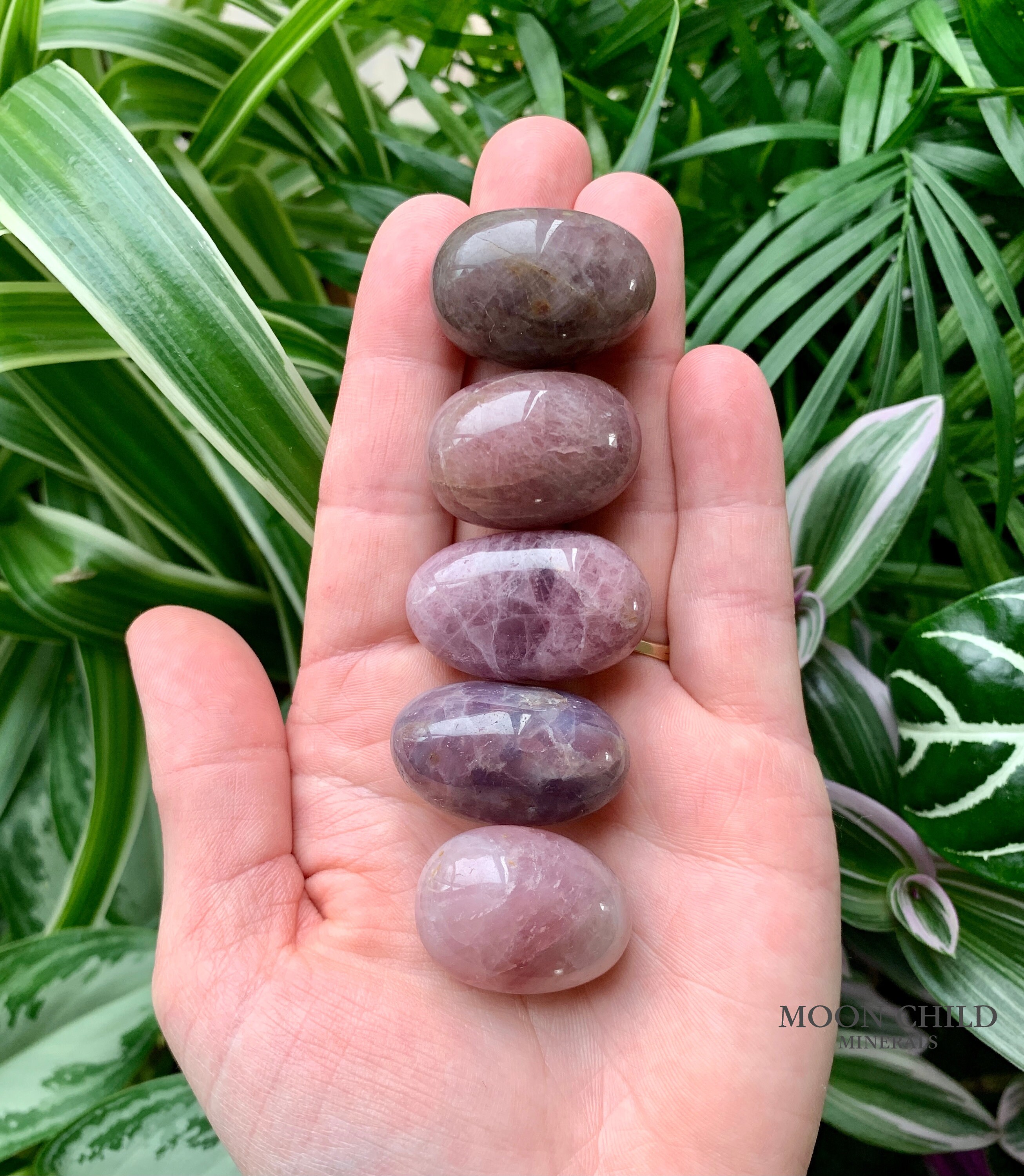 One Lavender Rose Quartz Tumbled Stone - Etsy