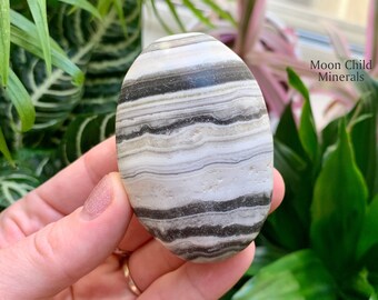 Zebra Stone | Etsy