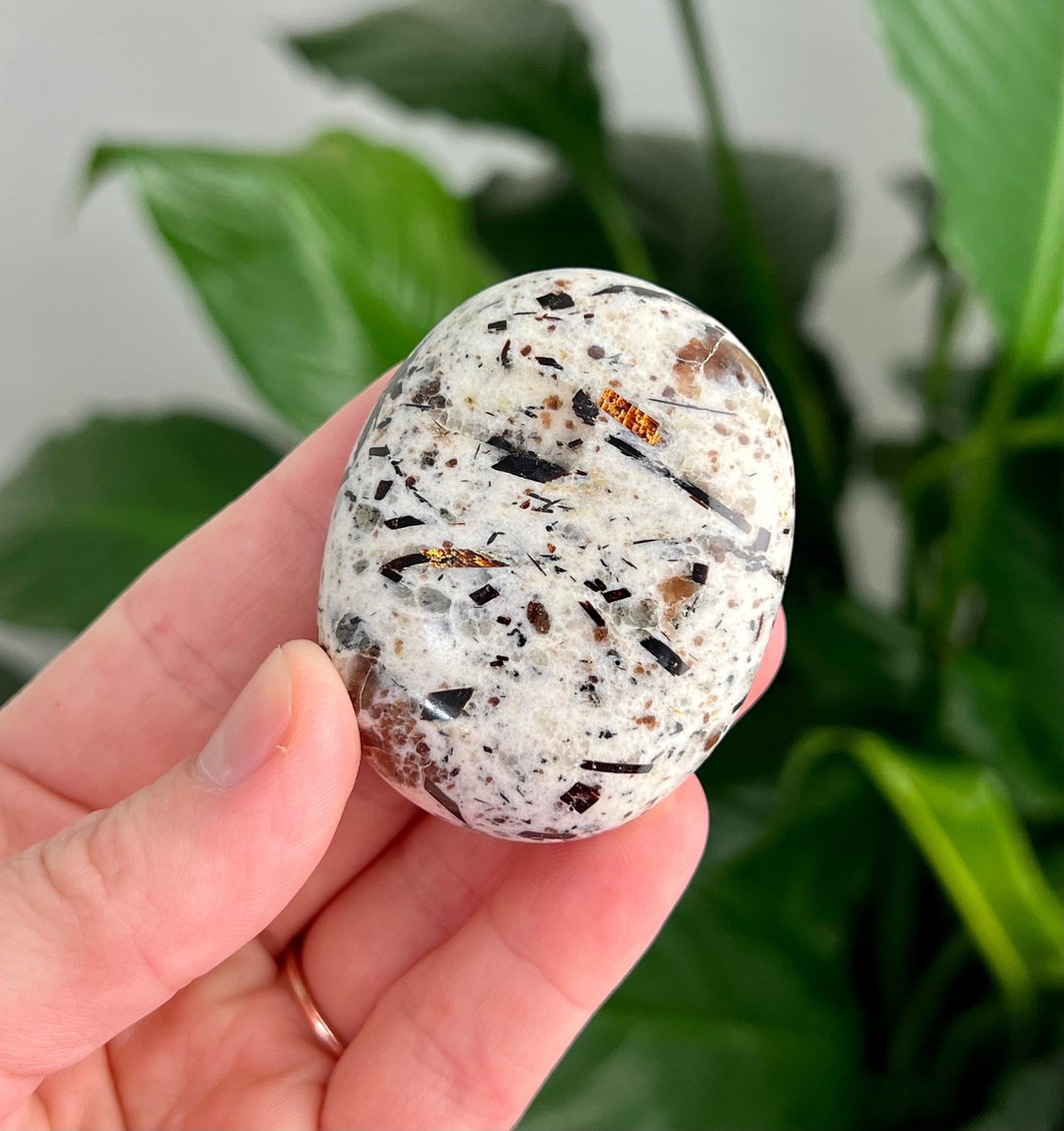 Astrophyllite Palm Stone exact One Pictured - Etsy