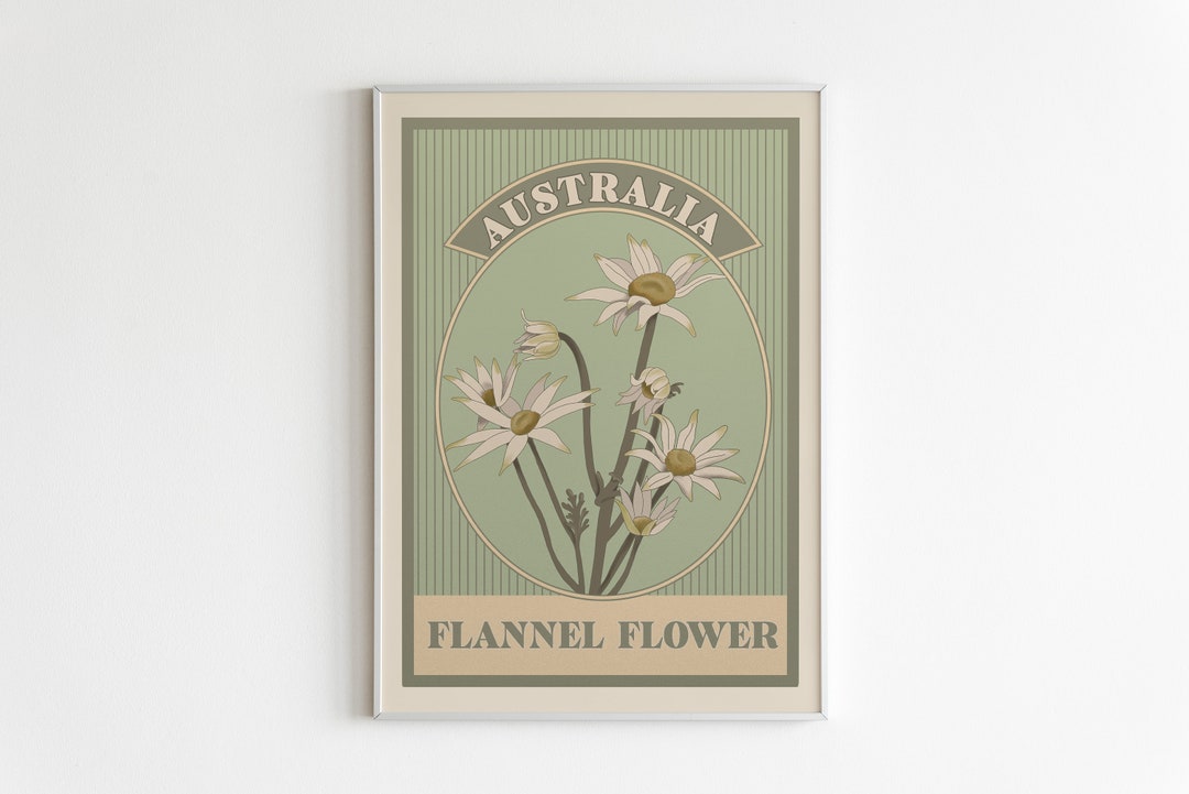 Australian Flannel Flower Poster Vintage Inspired Australiana ...