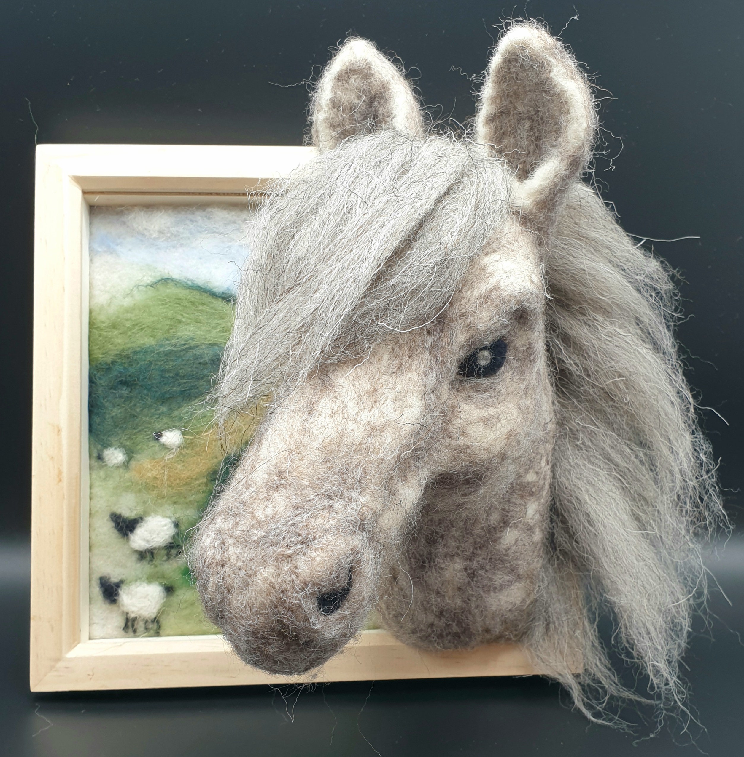 Framed Needle Felted 3D Pony/horse/needle Felted Animal/felted Horse ...