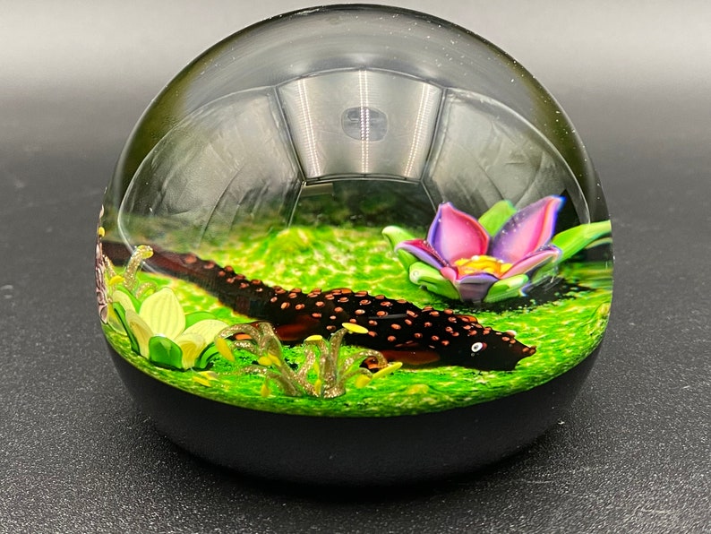 Caithness William Manson Art Glass crocodile Paperweight 3W - Etsy