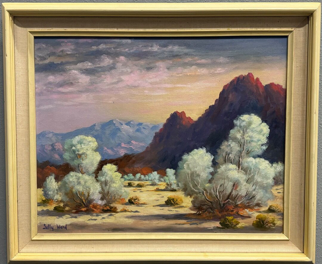 Sally Ward Original Oil Desert Landscape Painting on Canvas Framed ...