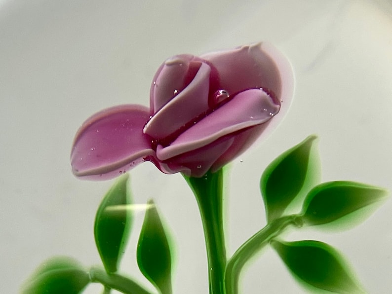Rare Francis Whittemore Art Glass Pink Rose Paperweight 2 1/4 W - Etsy