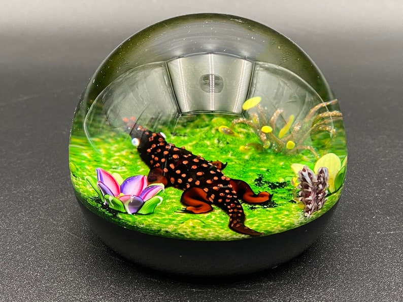Caithness William Manson Art Glass crocodile Paperweight 3W - Etsy