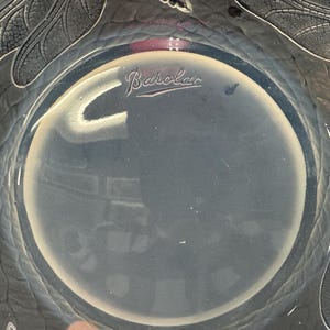 1930s Barolac Czech Opalascent Dragonfly Centerpiece Bowl 11 1/4” - Etsy