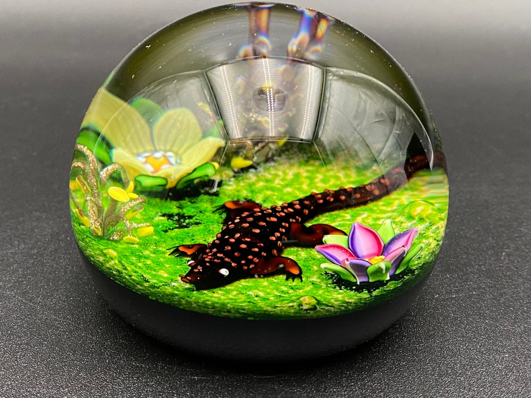 Caithness William Manson Art Glass “crocodile” Paperweight 3”W Artist ...
