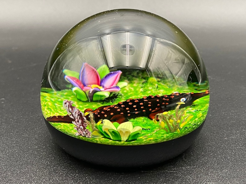 Caithness William Manson Art Glass crocodile Paperweight 3W - Etsy