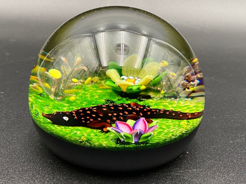 Caithness William Manson Art Glass crocodile Paperweight 3W - Etsy
