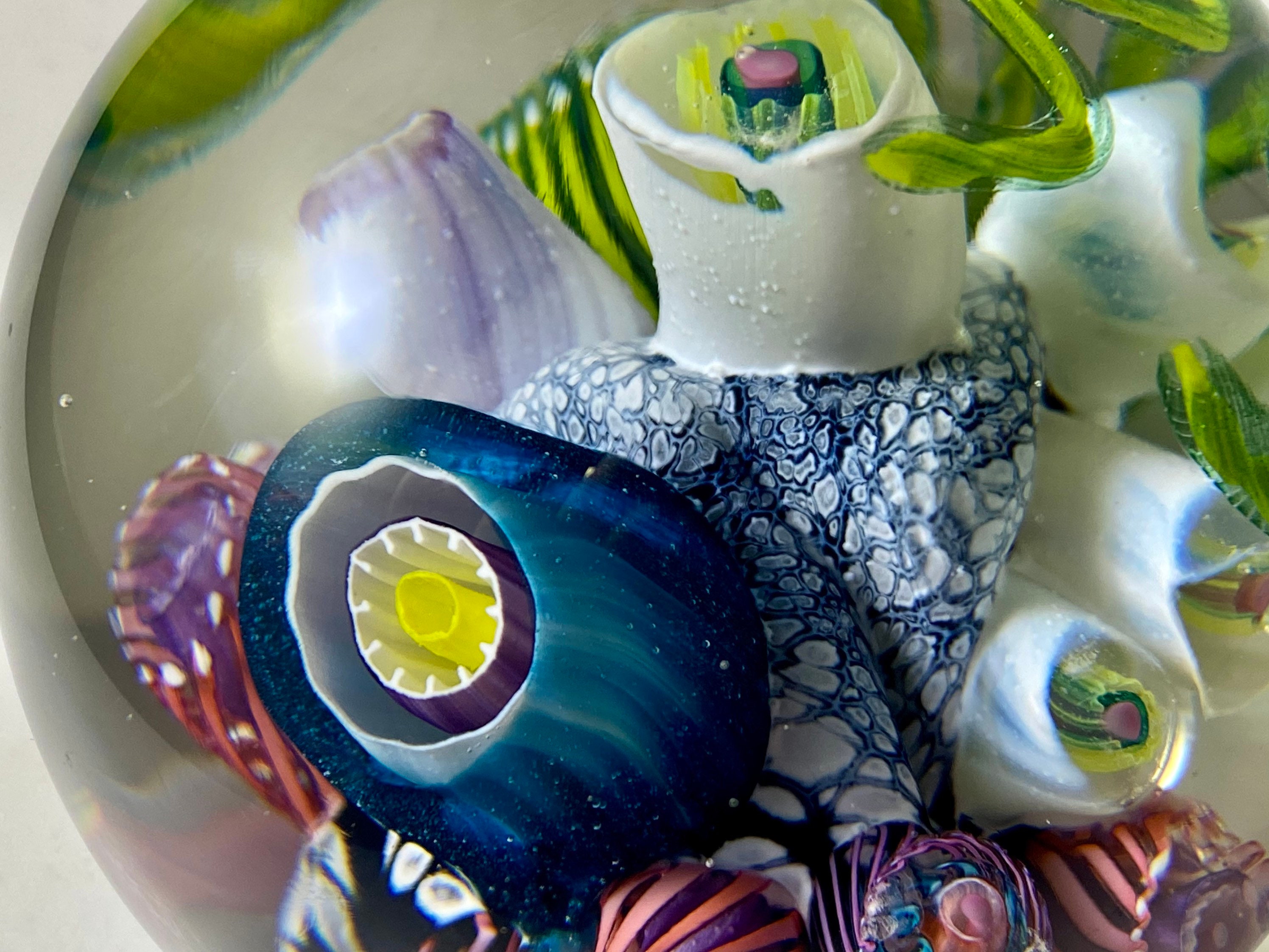 Mark Eckstrand Art Glass Coral Reef Seaweed Ocean Paperweight - Etsy