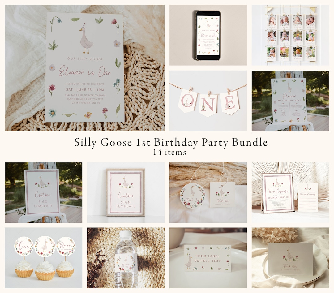 Goose First Birthday Party Bundle, Silly Goose Birthday Invitation ...