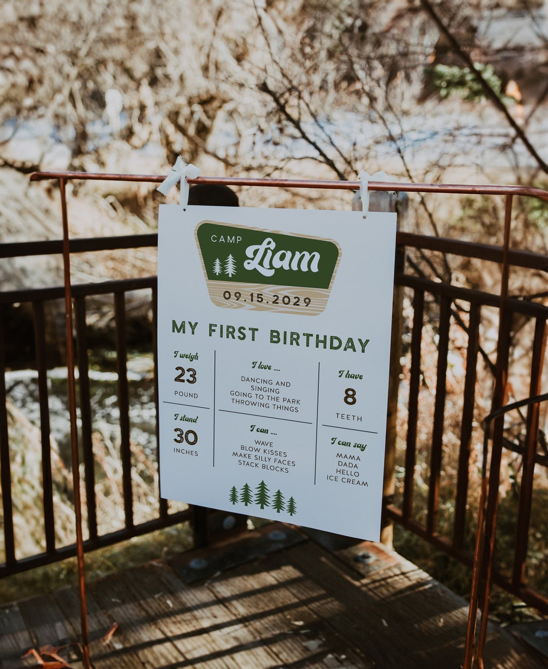 Editable One Happy Camper Birthday Milestone Sign, One Year Sign ...