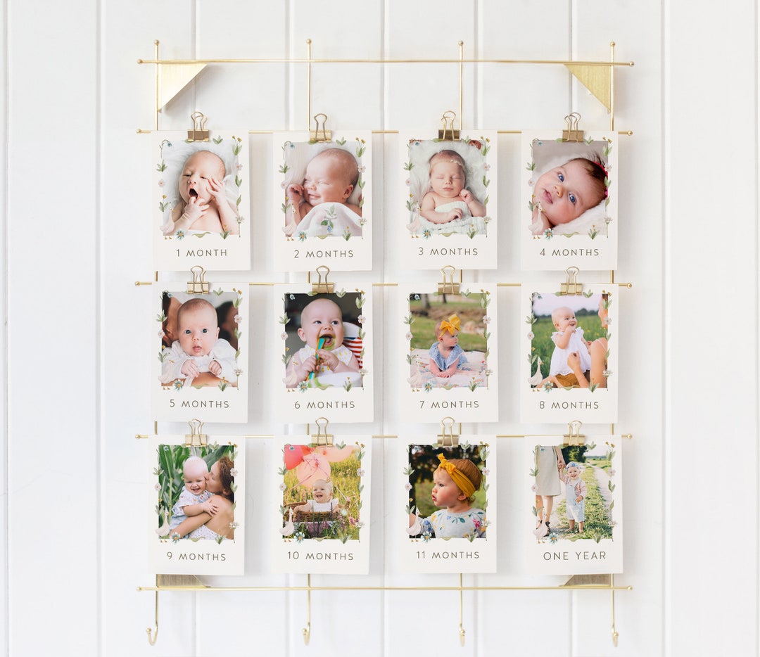 Goose First Birthday, Photo Banner, Baby's First Year Photos, Silly ...