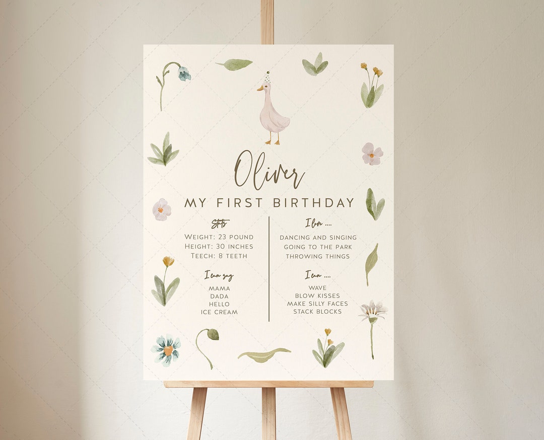 18x24 Goose One Year Sign Template, Silly Goose Birthday, Milestone ...